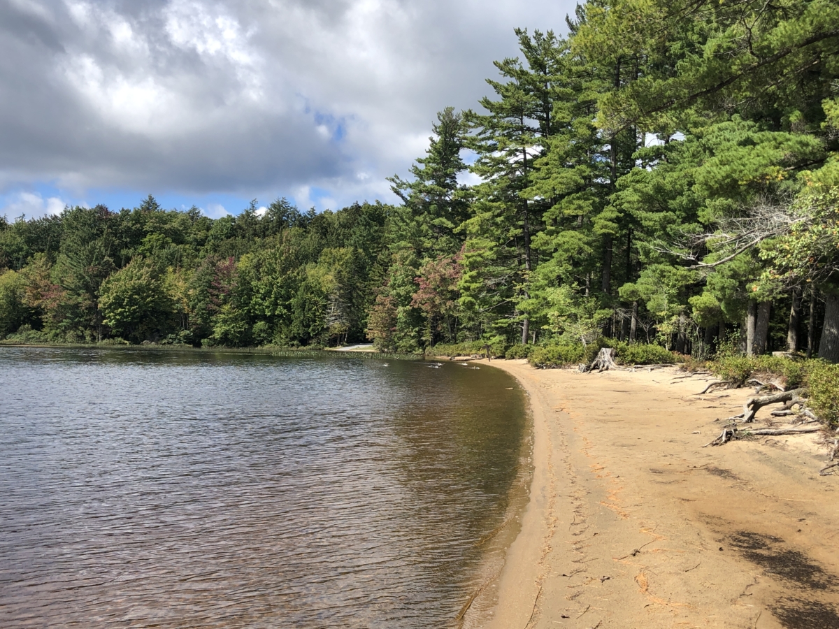 Brown Tract Ponds – Long Lake