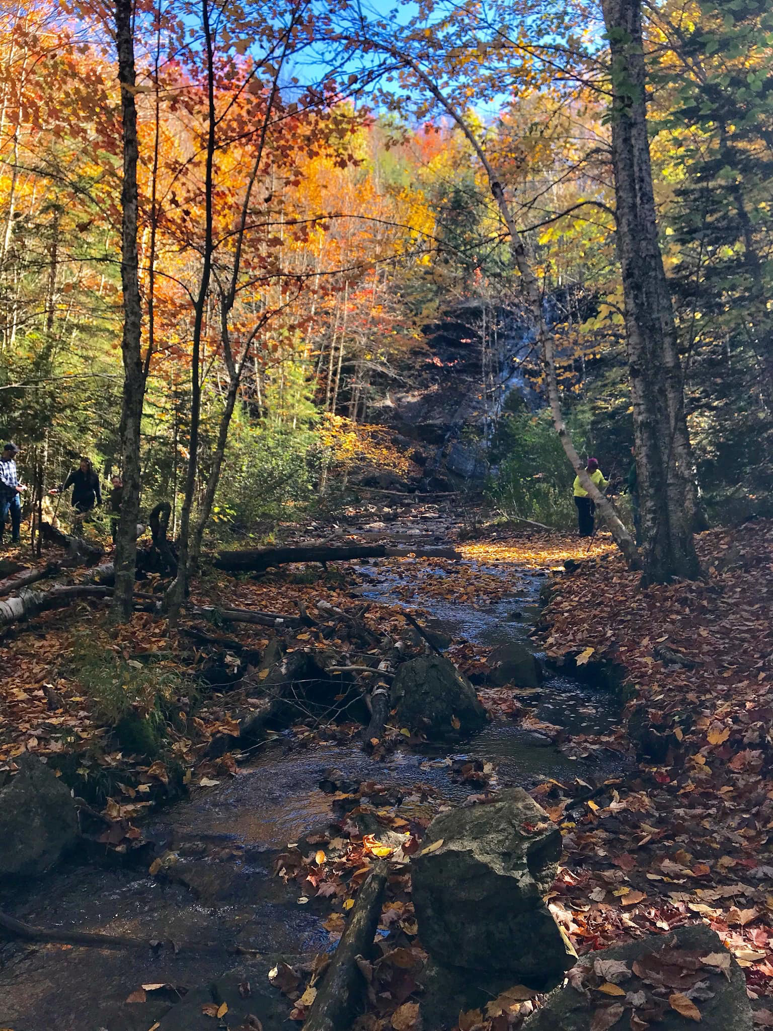 Hiking – Long Lake