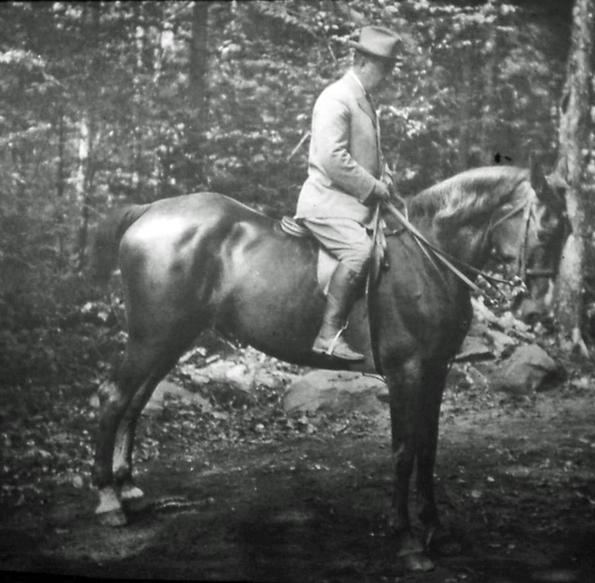 A Tale of Swedish Butlers: Cedarlands in the Walker Years – Long Lake