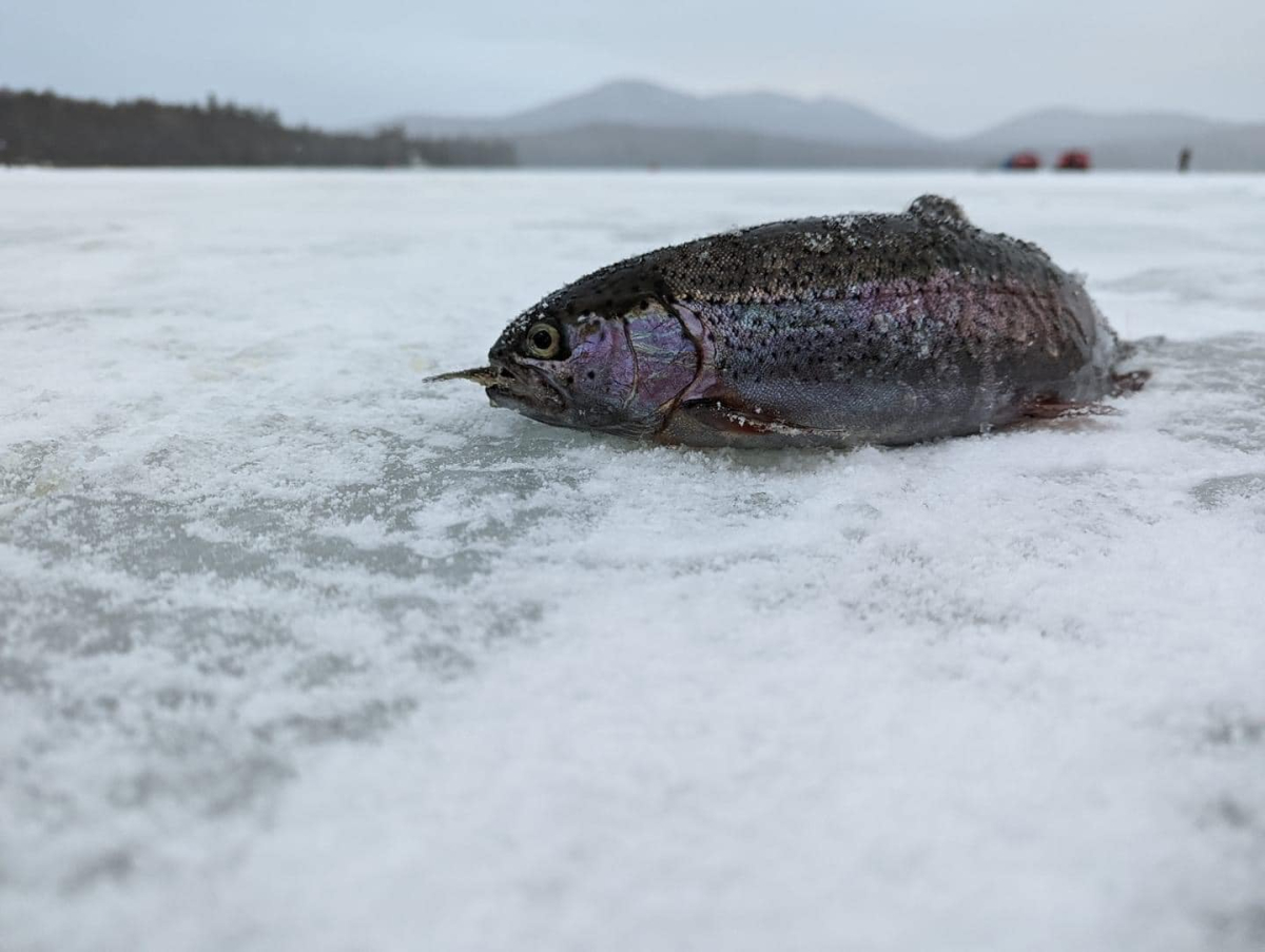 Long Lake Fishing Derby February 10, 2024 – Long Lake