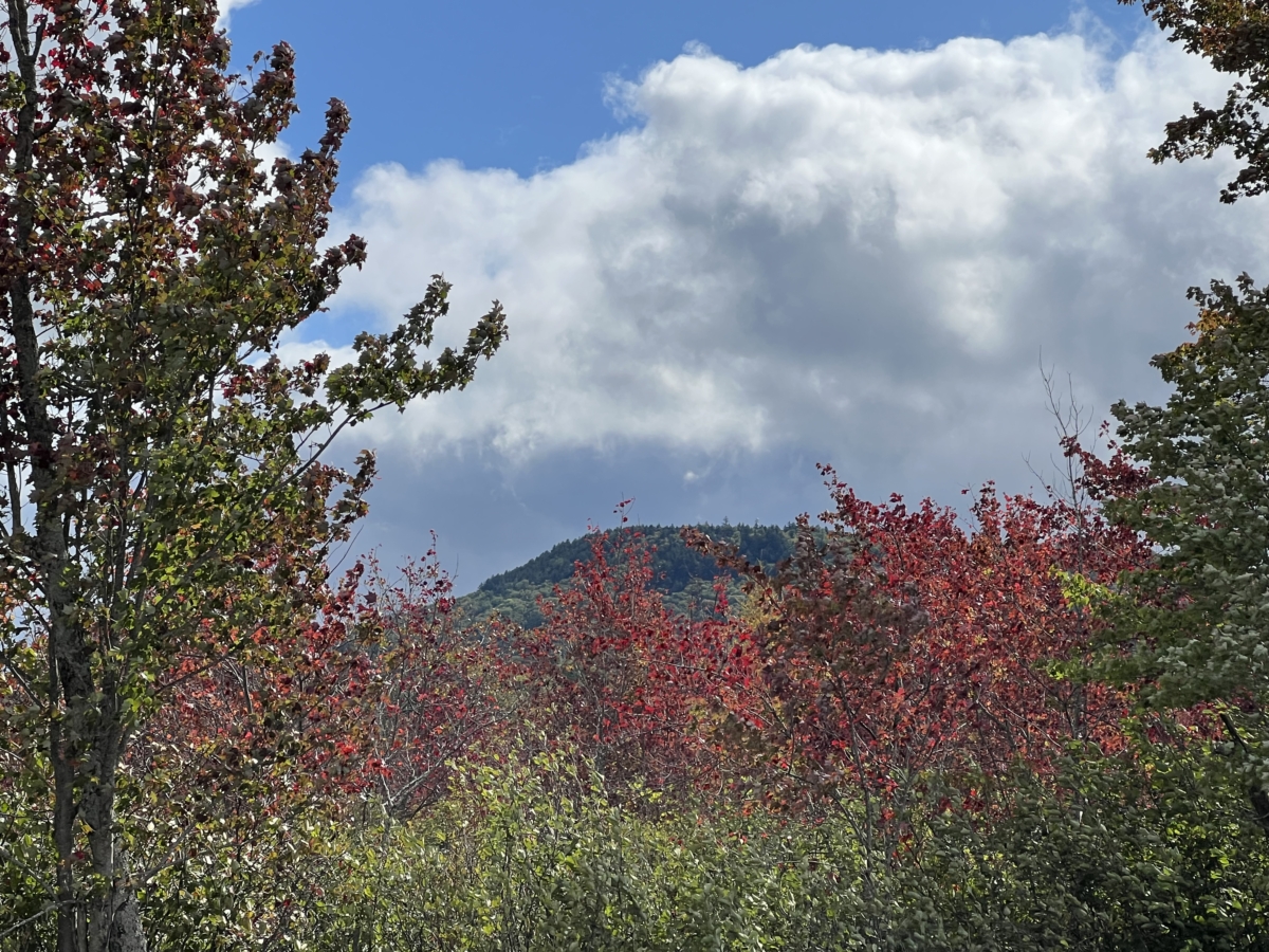 Long Lake – An Adirondack Vacation Destination