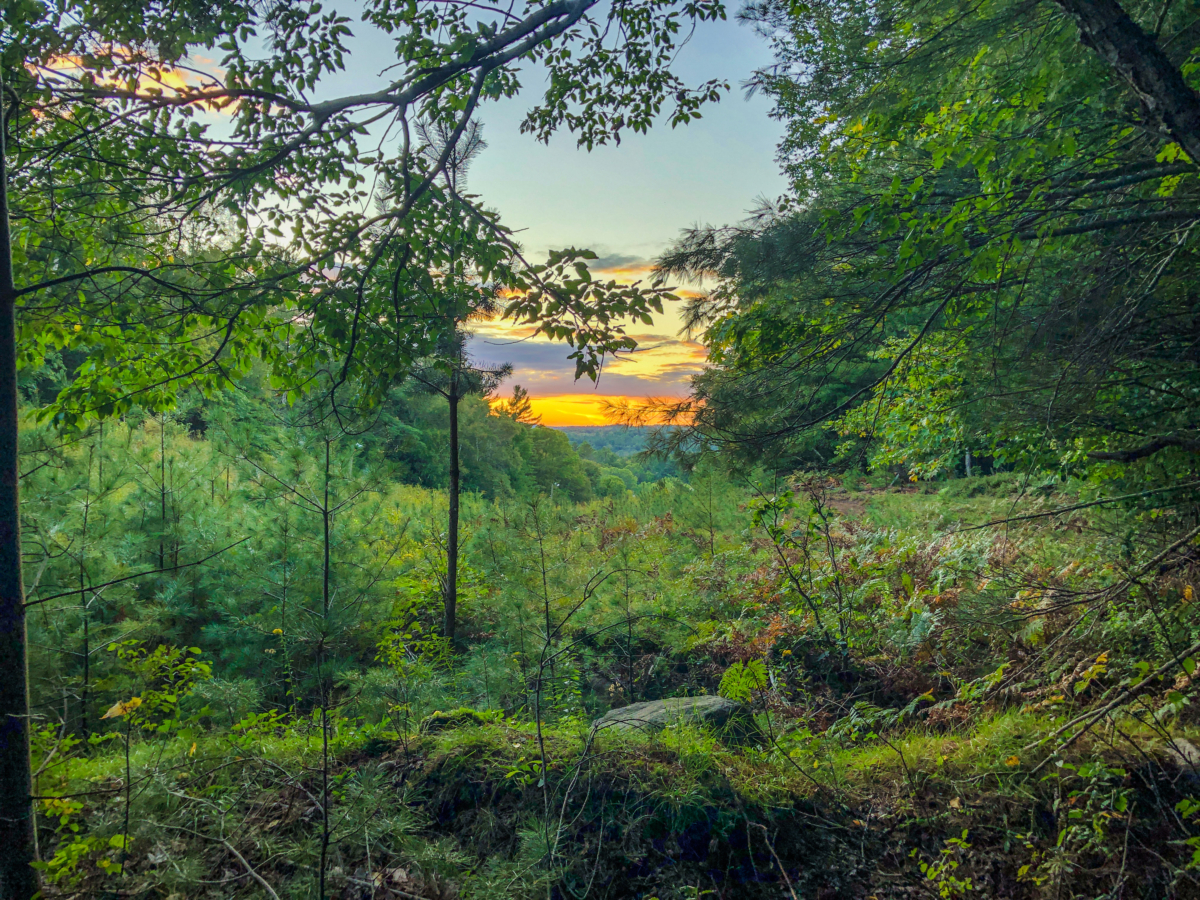 Long Lake – An Adirondack Vacation Destination