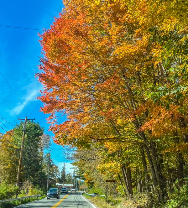 Long Lake – An Adirondack Vacation Destination
