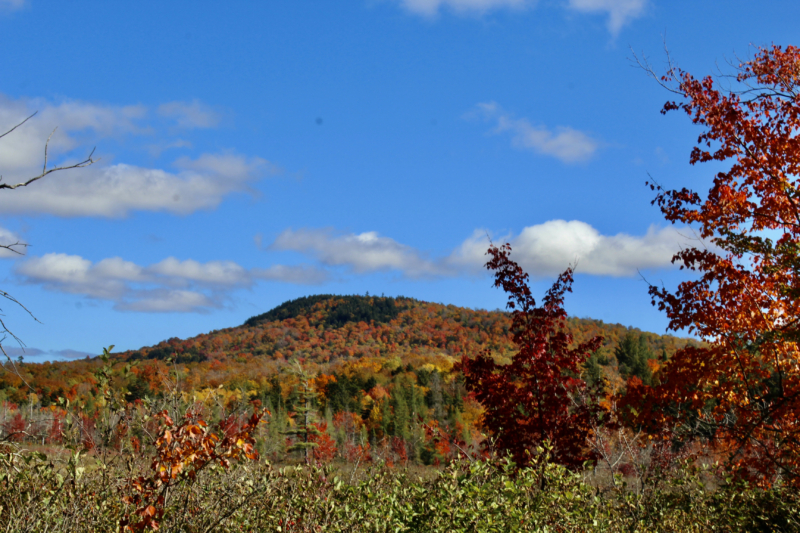 Long Lake – An Adirondack Vacation Destination